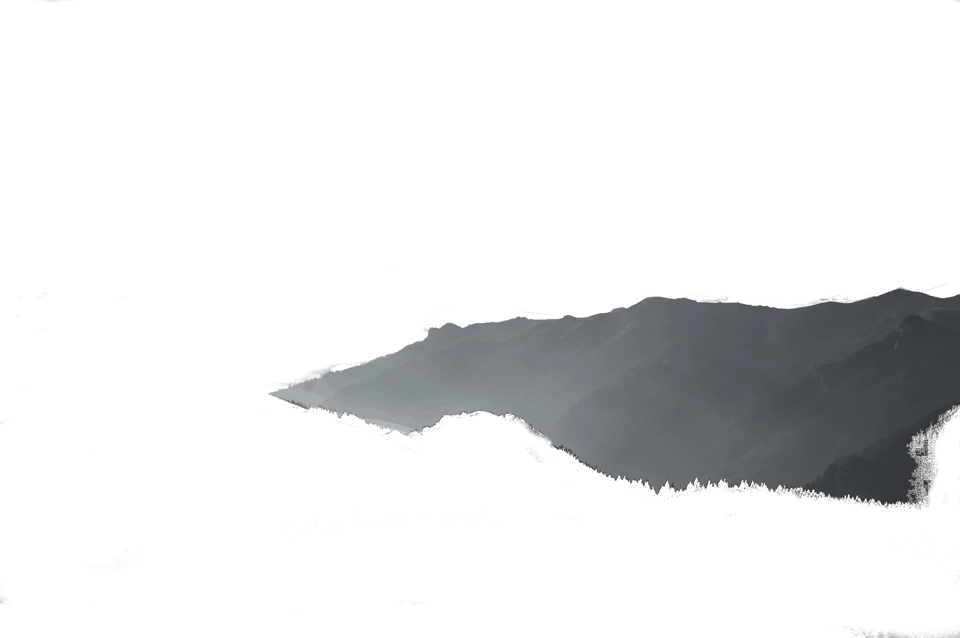 Website Design - Website Development Agency | ColdFlame Designs